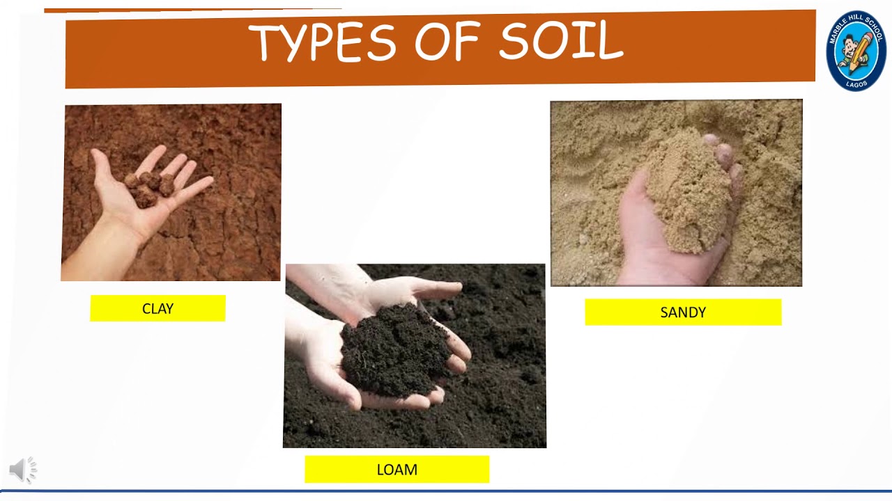 Types Of Soil For Kids