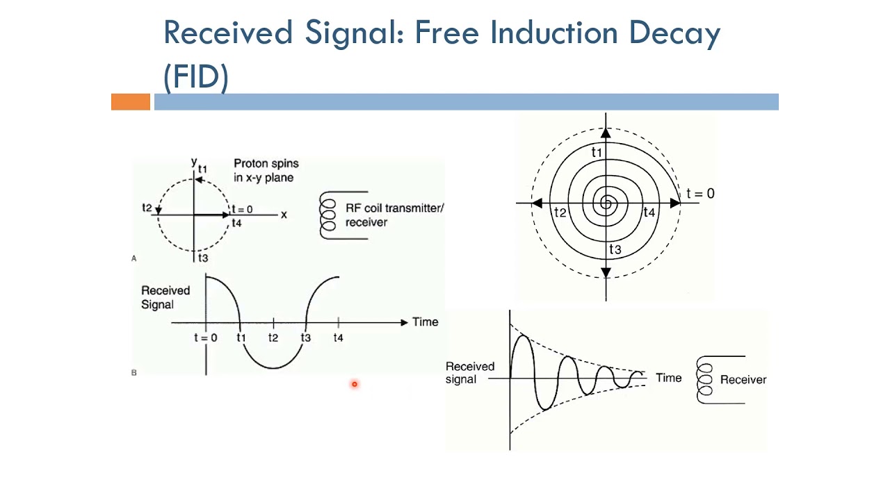 Short Topics in Magnetic Resonance Imaging: Free Induction Decay ...