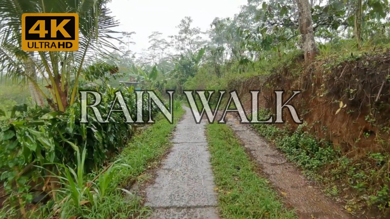 The Magic of Rain A Tranquil Garden Experience - YouTube