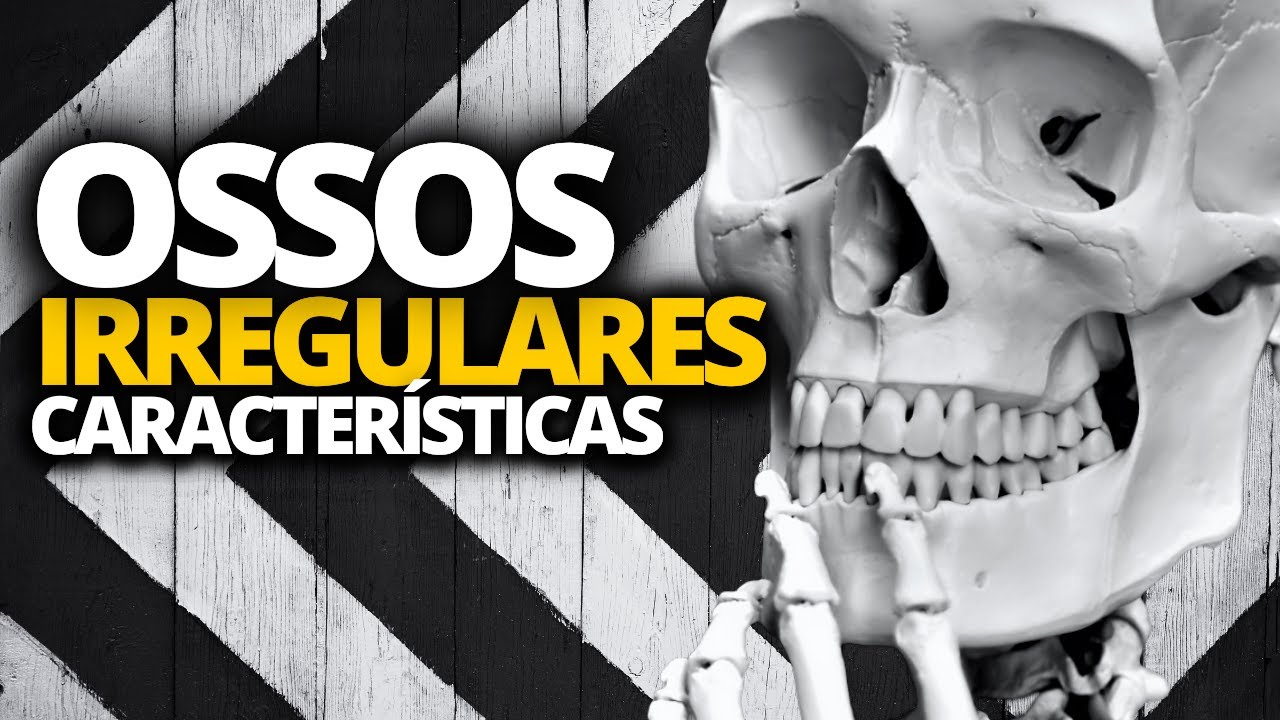 Ossos IRREGULARES - CARACTERÍSTICAS - YouTube