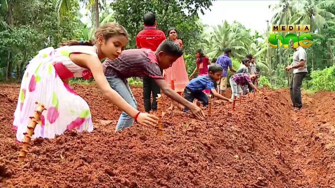 Students explore organic farming - YouTube