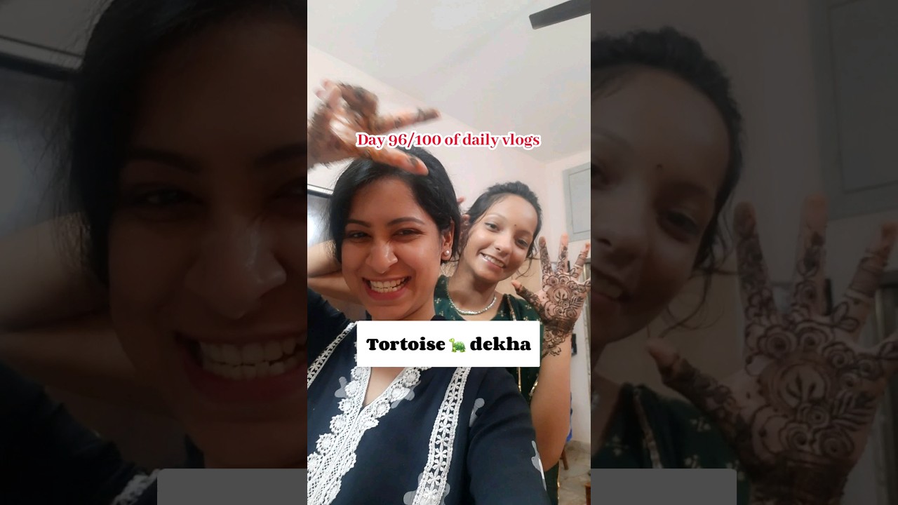 Day 96/100 of daily vlogs.. Tortoise 🐢 dekha .. #shorts - YouTube