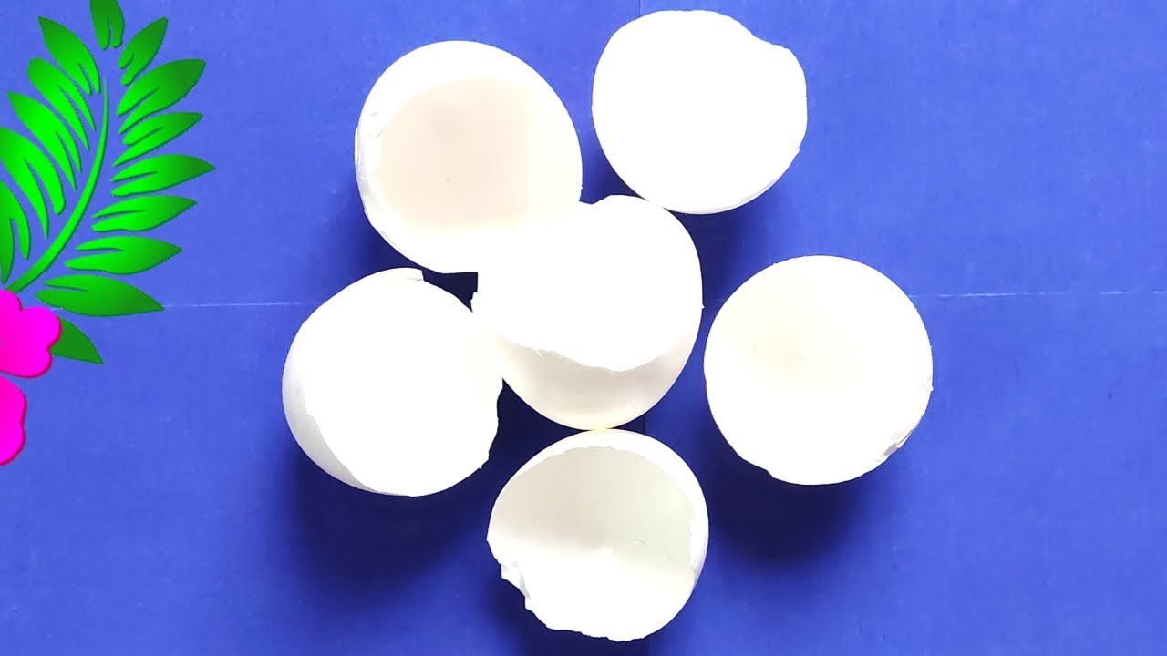 Egg Shells Craft |DIY Best out of waste |Egg Shell Reusing |Home ...