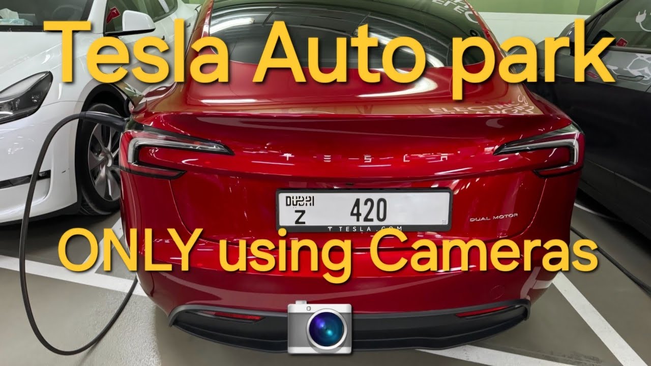 Auto Reverse Park Test Self parking with Tesla Vision #update - YouTube