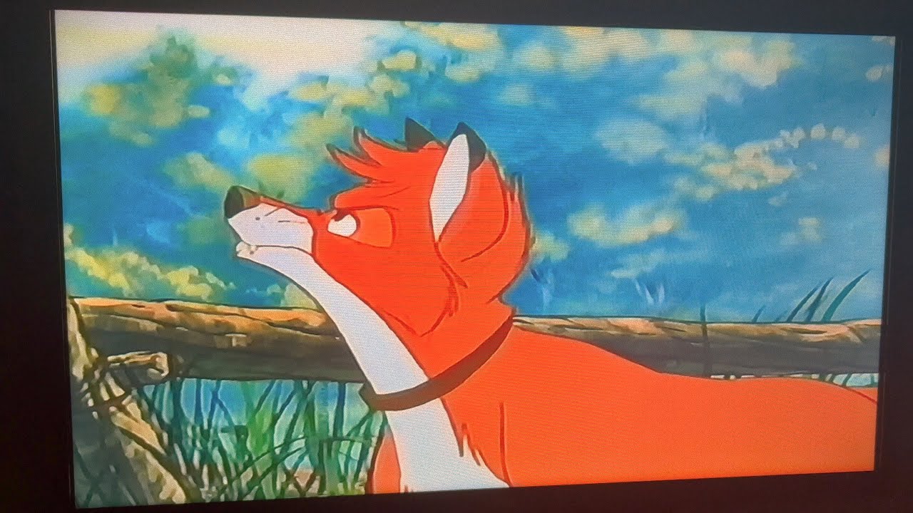 The Fox And The Hound: Adult Tod (1981) (iPhone) (Filters) - YouTube