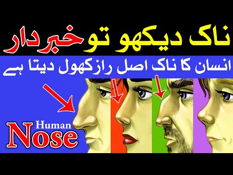 Naak se Insan K Raaz Zahir Hote Hin Nose ilm e Jafar Mehrban Ali Face Reading ناک नाक astrology