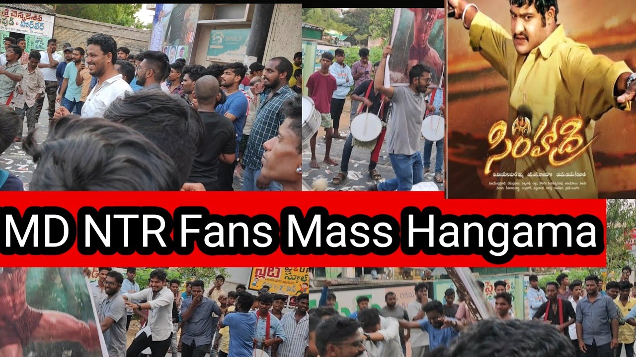 NTR Birthday Celebrations at Jammalamadugu, Jr NTR Fans Mass Hangama at ...