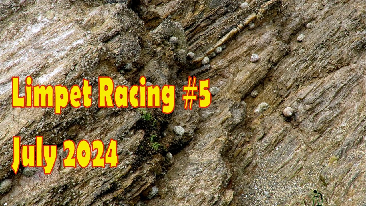 Limpet Racing July 2024/5 4K - YouTube
