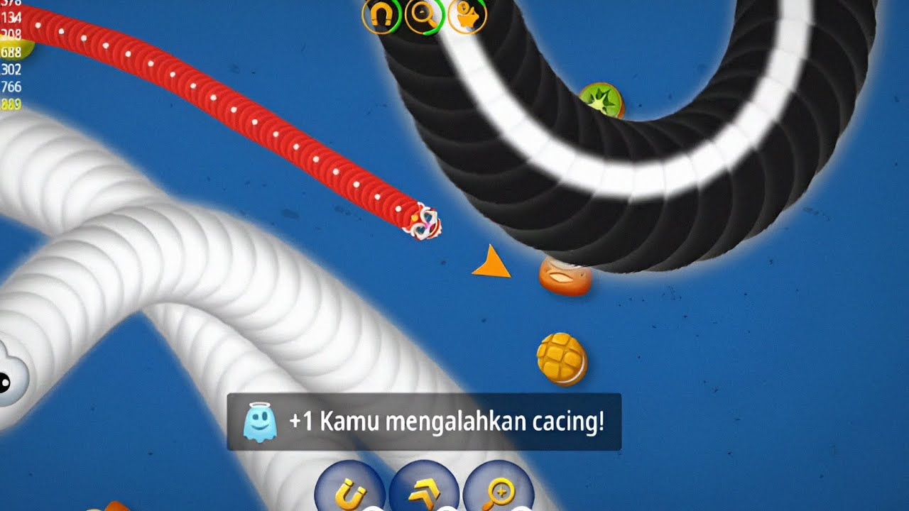 Jebak cacing besar Alaska menggunakan cacing Wushi, Dihimpit dua cacing ...