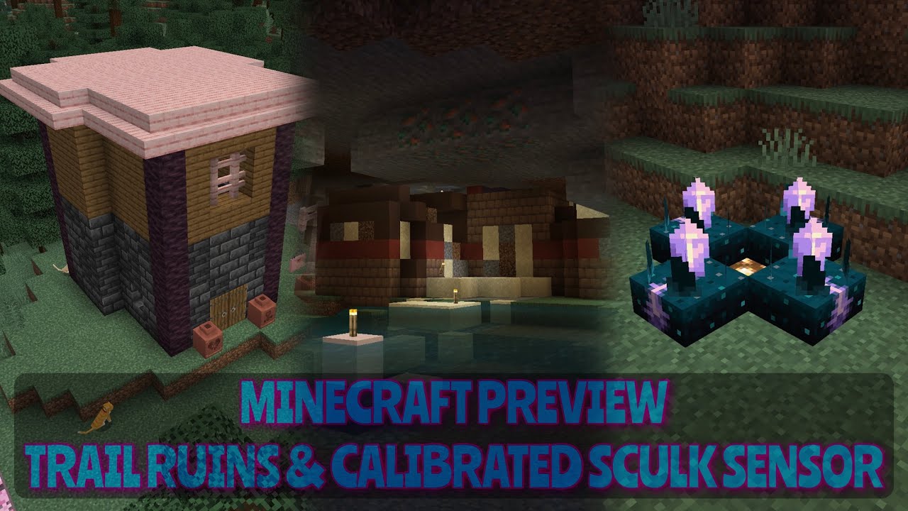 Exploring Trail Ruins & Calibrated Sculk Sensors Preview (MINECRAFT ...