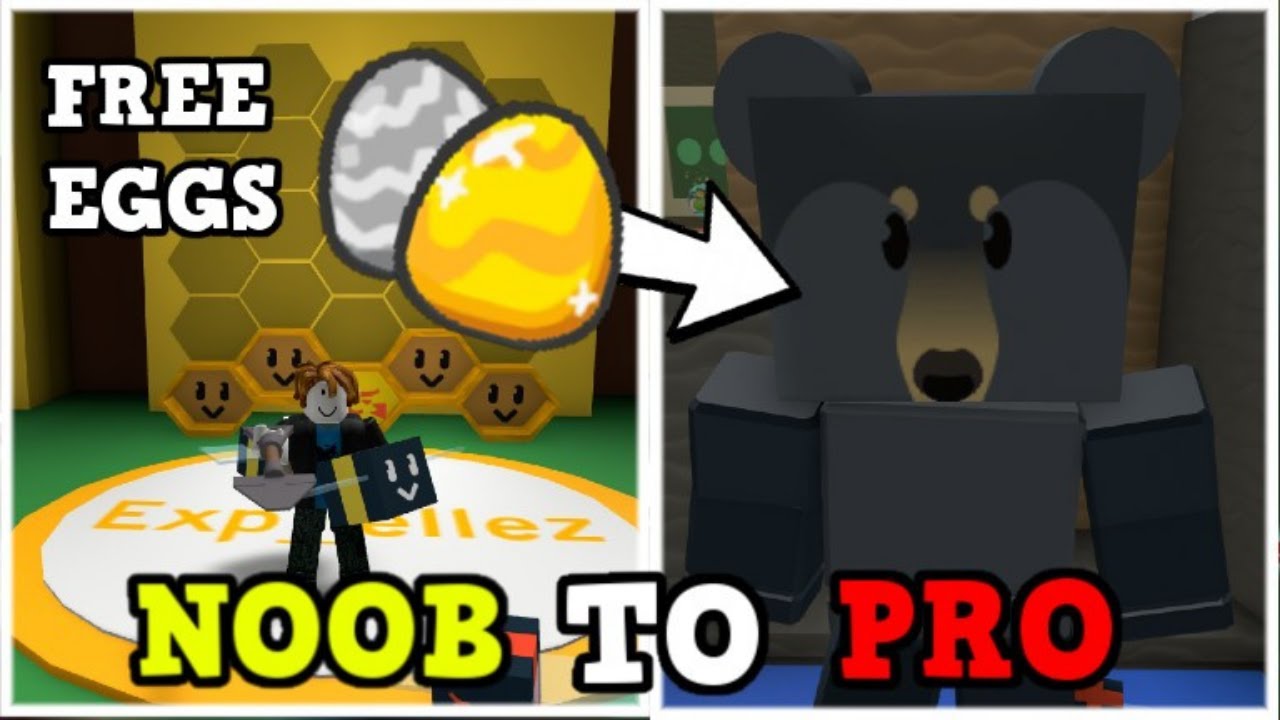 BEE SWARM SIMULATOR NOOB TO PRO #1 - FINISHING BLACK BEAR'S QUESTLINE ...