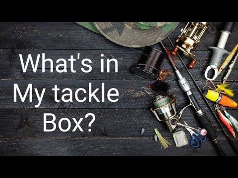 What's in my tackle box? #fishing #bassfishing #catfishing - YouTube