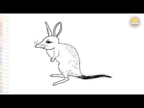 Cute little Bilby drawing easy | Art tutorial | How to draw A Bilby step by step | #artjanag
