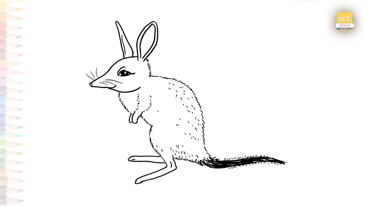 Cute little Bilby drawing easy | Art tutorial | How to draw A Bilby ...