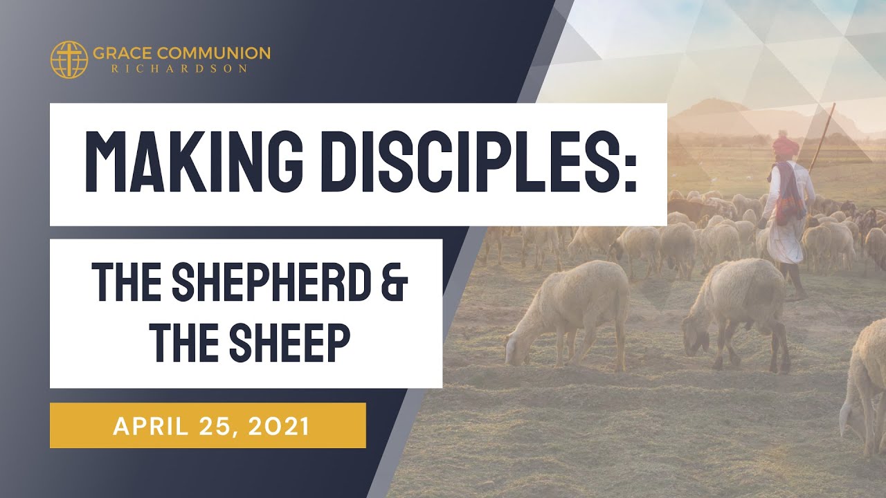 Making Disciples: The Shepherd And The Sheep - YouTube