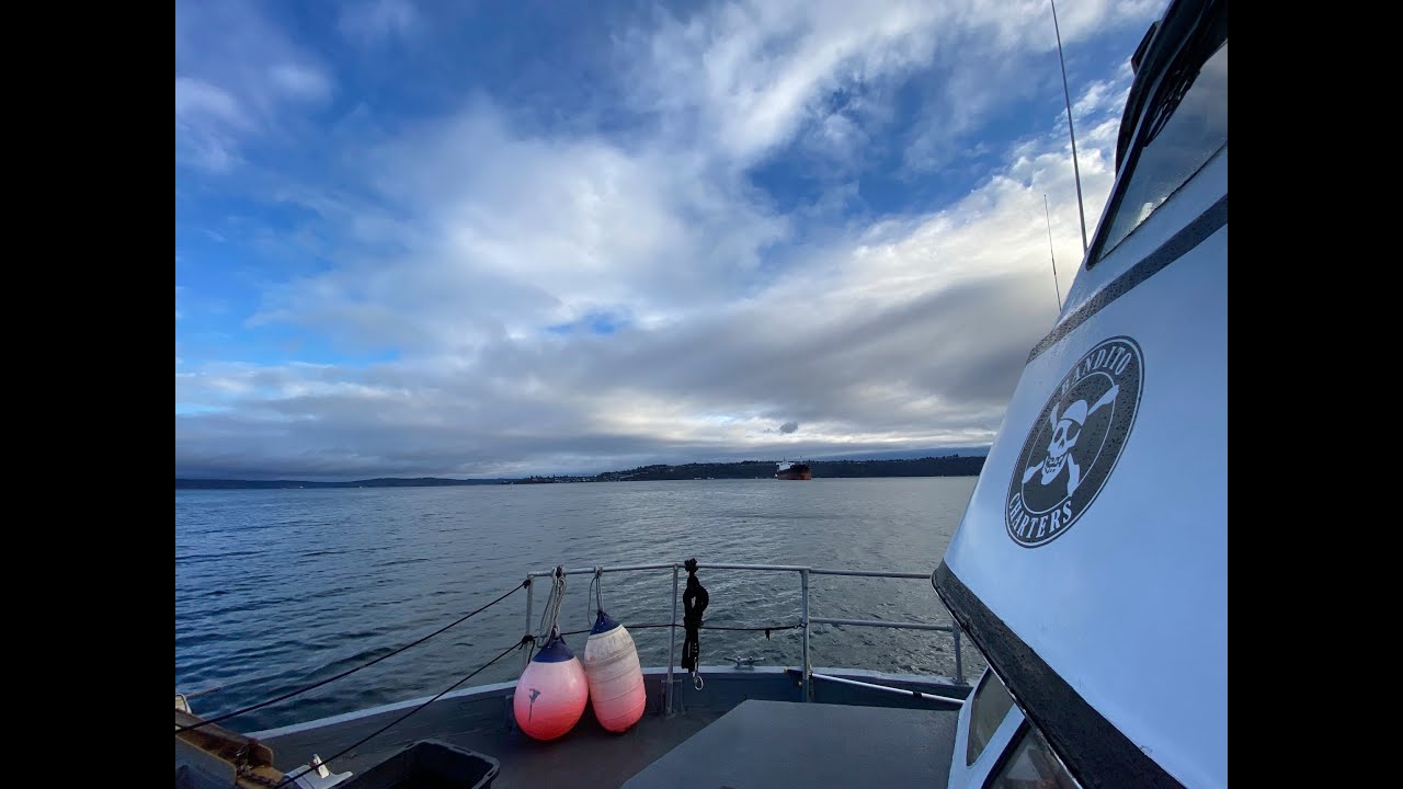 Bandito Charters March 2021 by Deb Halley - YouTube