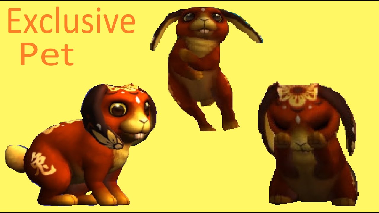 Wizard101 - Auspicious Rabbit Exclusive Pet - YouTube