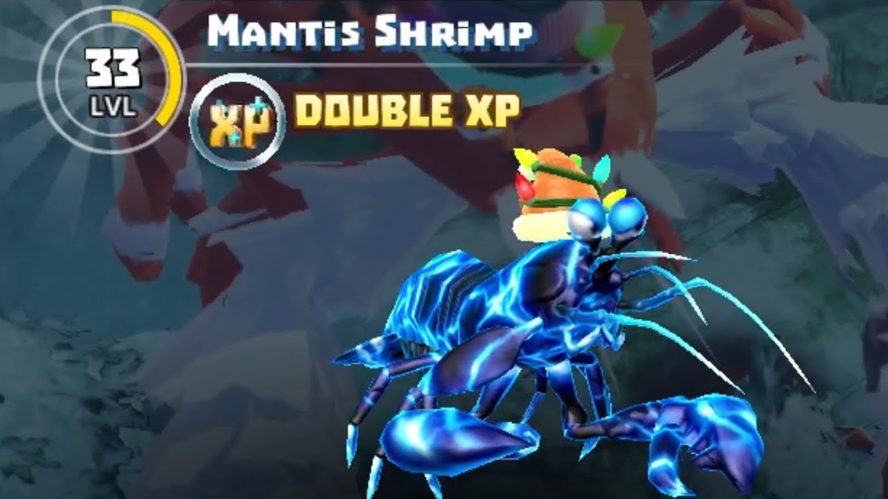 Mantis Shrimp at Crustmas Map!! - King of Crabs - YouTube