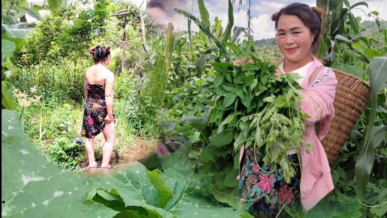 nkauj hmoob toj siab de zaub iab thiab ntsis taub ntxim qab tshaj ...