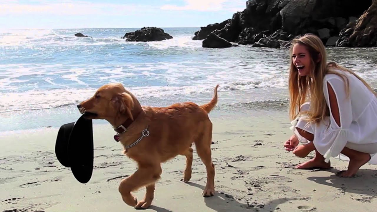 Big Sur X Emily Zeck - YouTube