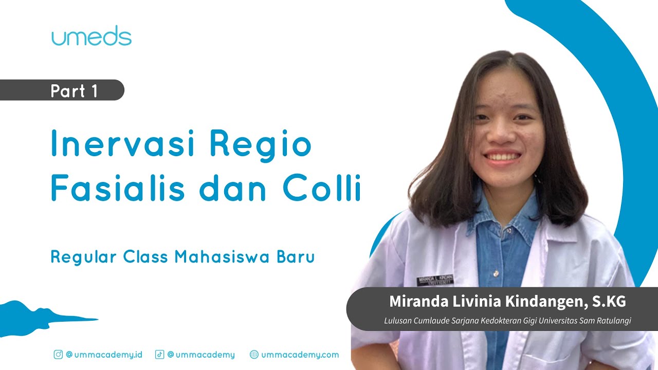 Dentacademy - Anatomi Umum - Inervasi Regio Faciallis dan Colli - Part 1 - YouTube