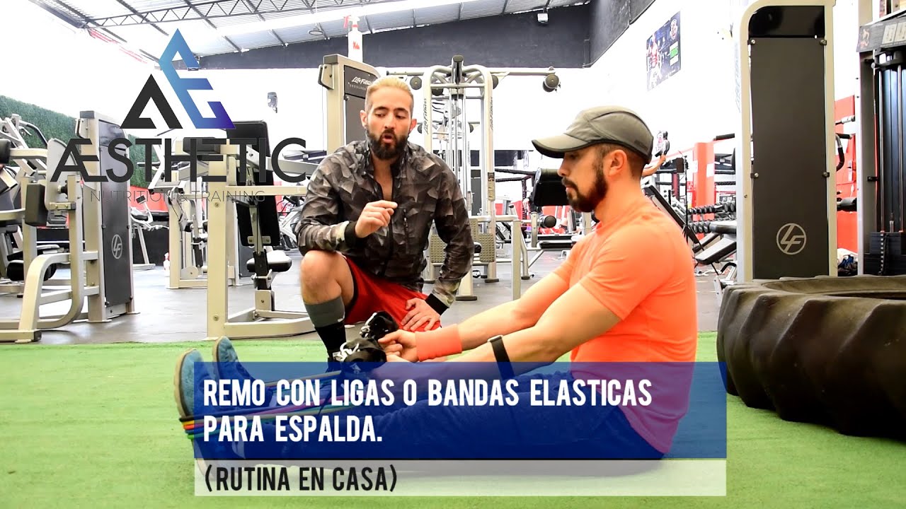Remo con ligas o bandas elásticas para espalda ( rutina en casa). - YouTube