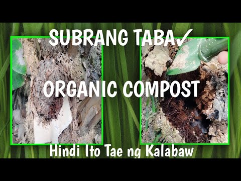 Nasa Paligid lang na Compost Soil / Patabang Lupa / Mataba na Lupa ...