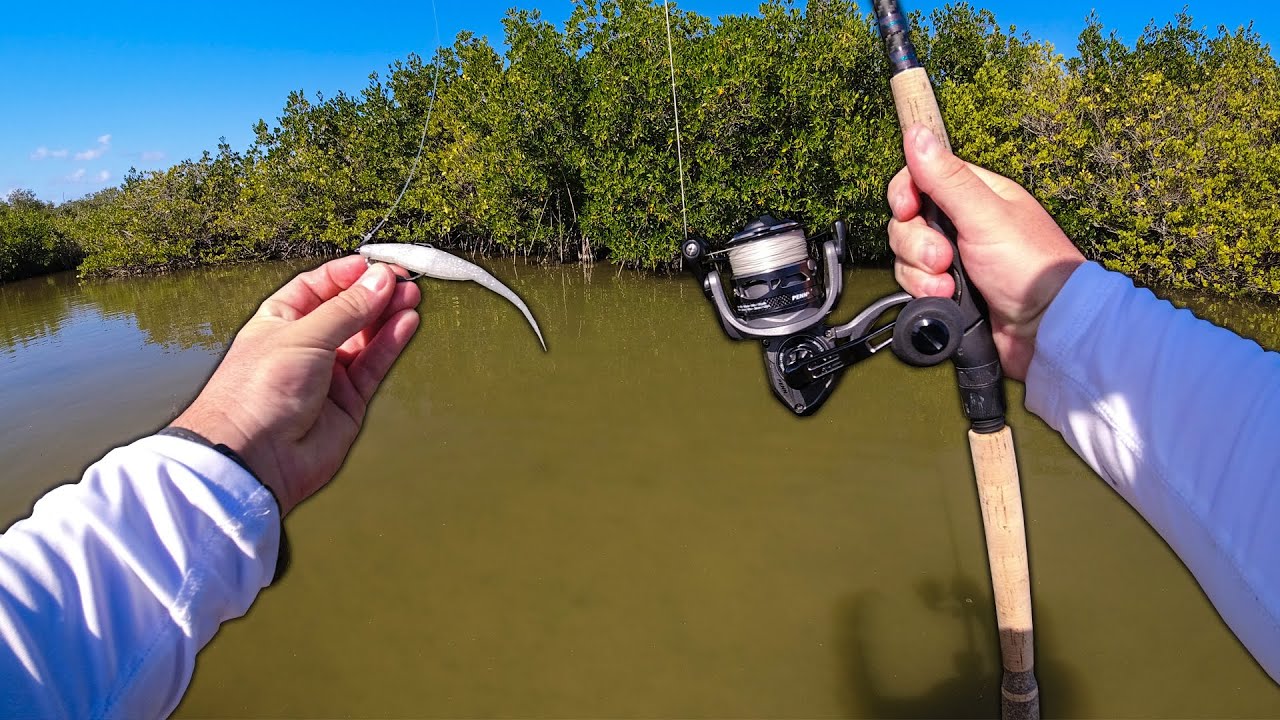 Fishing Florida Backwaters for Redfish and Snook with a Fluke! - YouTube