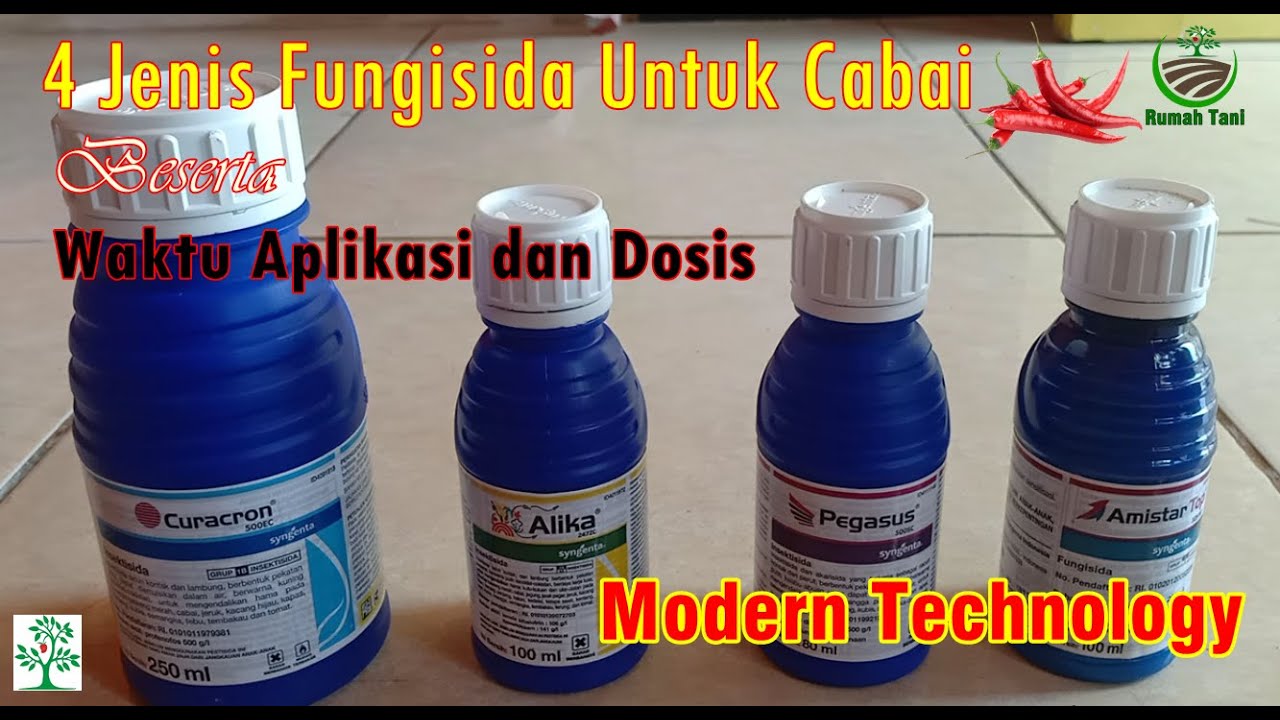 Empat Jenis Insektisida dan Fungisida Cabai beserta dosisnya - YouTube