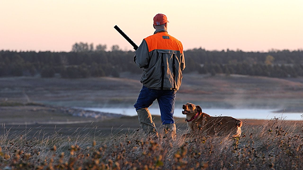 Hunting Surveys - NDGNF - YouTube