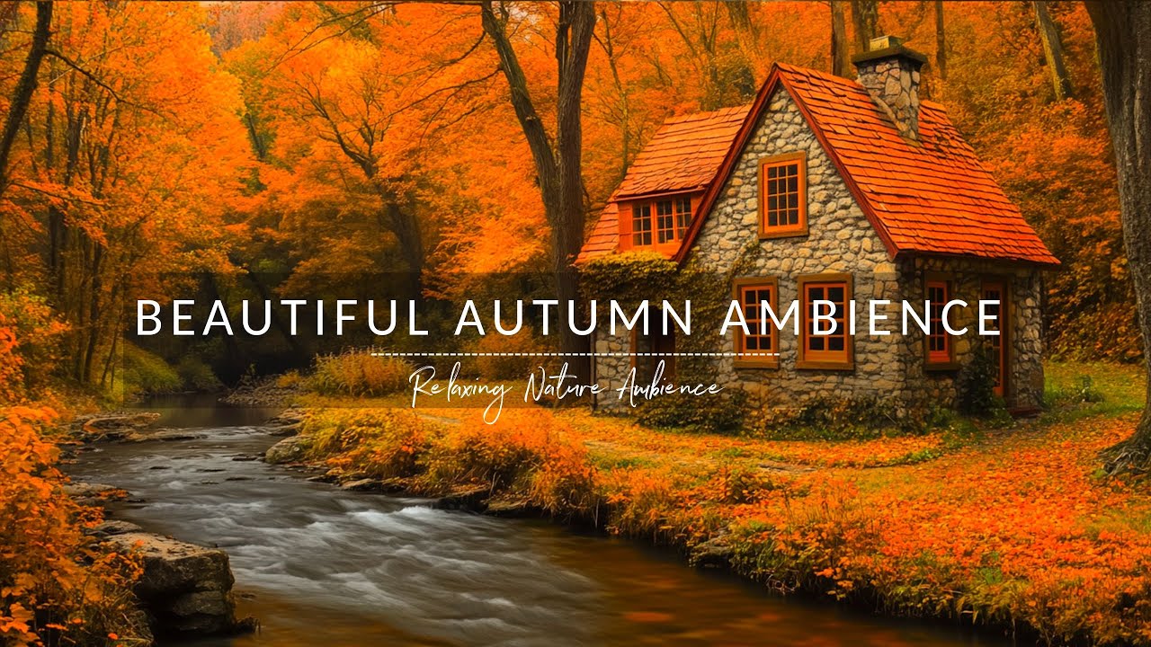 Relaxing Autum Forest Ambience - Calming Wind, Rustling Leaves ...