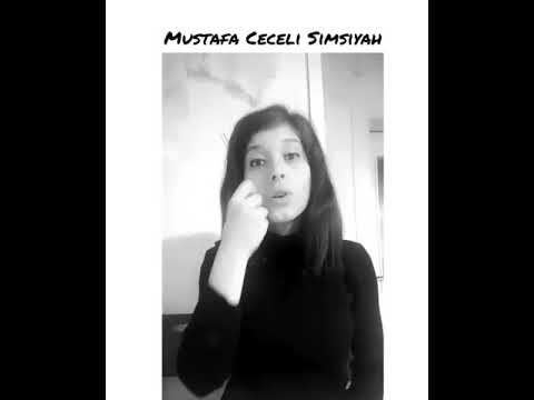 Mustafa Ceceli Simsiyah İşaret Dili
