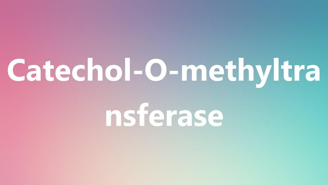 Catechol-O-methyltransferase - Medical Definition - YouTube