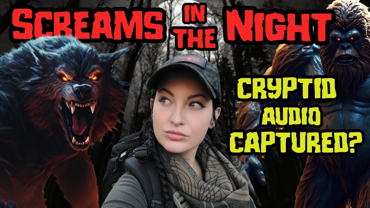 Sasquatch Scream or Dogman Howl? You decide. - Cryptid Bigfoot ...