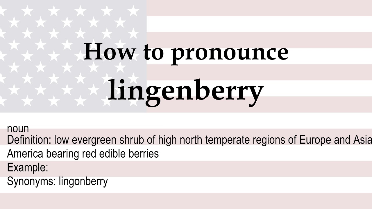How to pronounce 'lingenberry' + meaning - YouTube