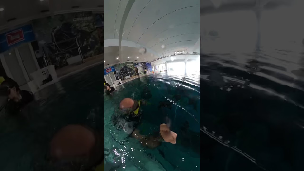 Y-40 diving pool, Padova - YouTube