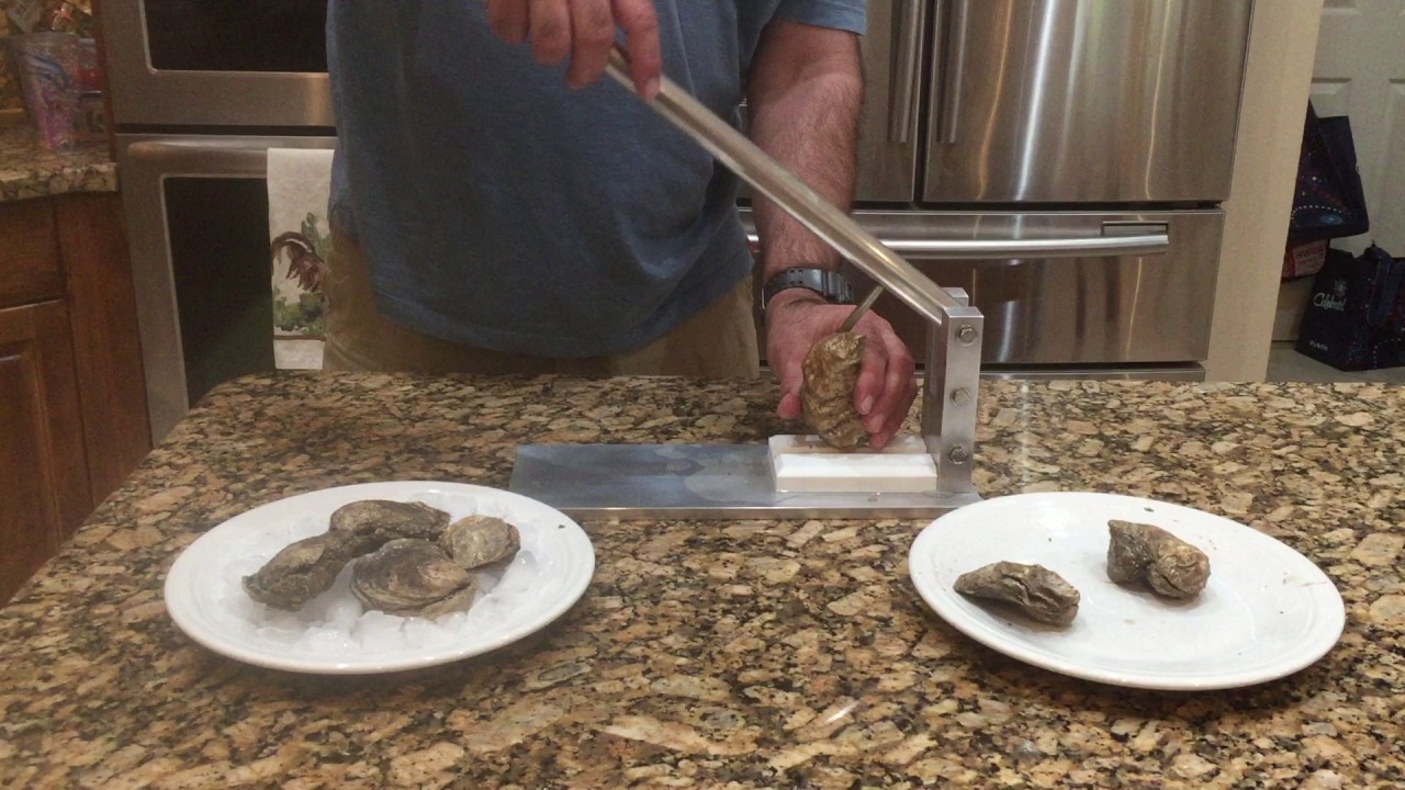 Shucking Oysters With Easy To Use Oyster Shucker YouTube