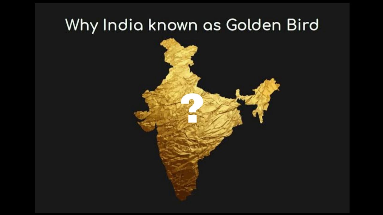 || The golden bird India || #India #Goldenbird #universities # ...