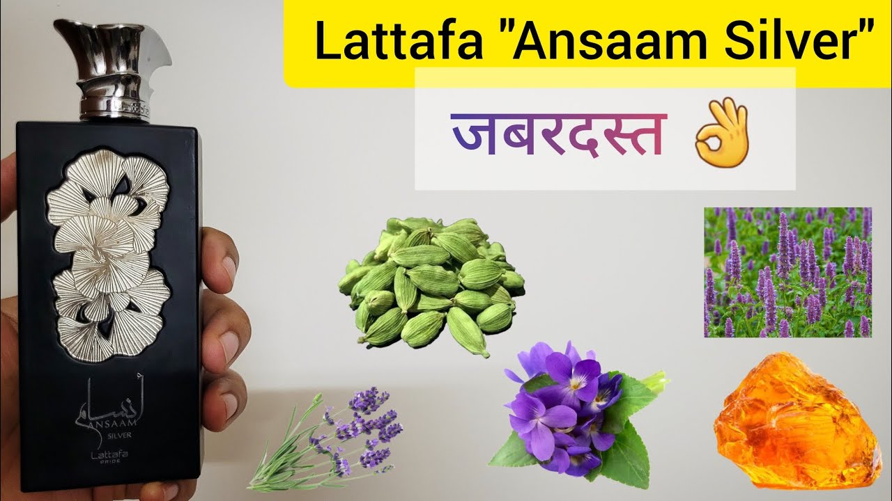 "Ansaam Silver" Perfume by Lattafa | Azzaro's Most Wanted EDP Dupe ...
