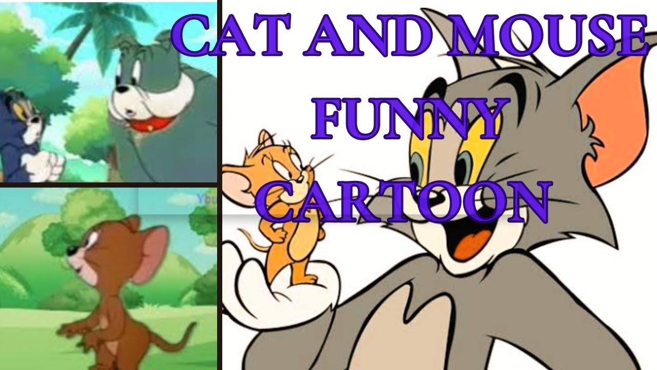 Cat and Mouse FUNNY Cartoon||Tom and Jerry||#cartoon #limitless #cat ...