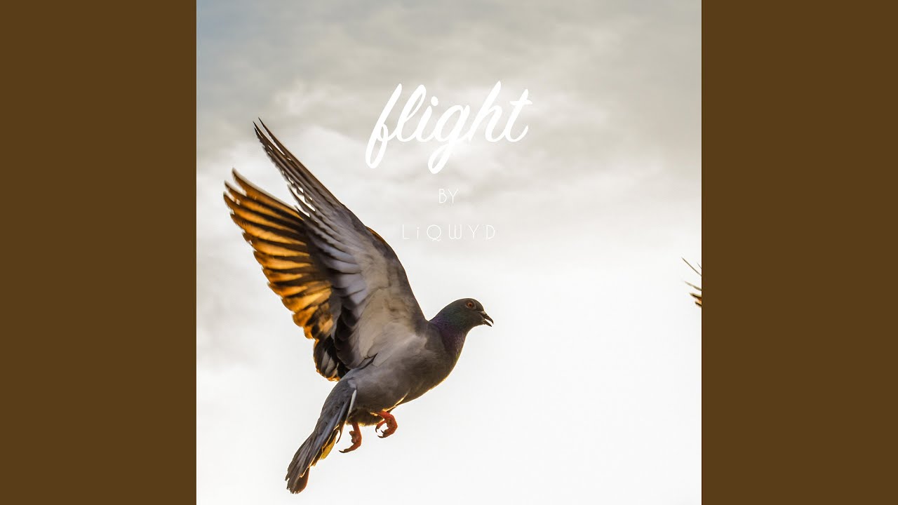 Flight - YouTube
