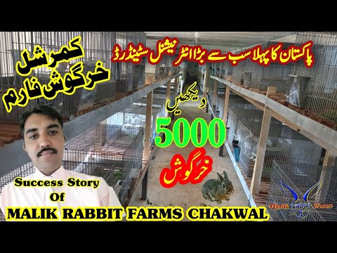 Gallery - Malik Rabbit Farm
