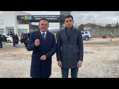 KONYA BÜYÜKŞEHİR BELEDİYESİ BARINAĞI KÖPEK KATLİAMI HAKKINDA AÇIKLAMA