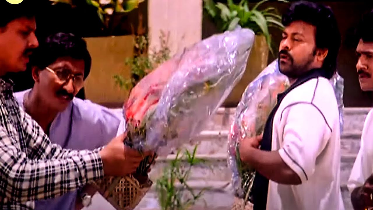 Chiranjeevi Interesting Telugu Ultimate Movie Scene | Telugu Scenes ...