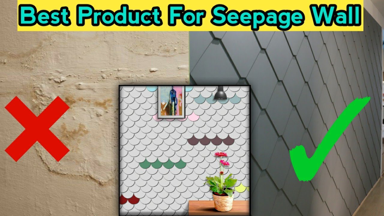 How To Hide Wall Seepage || सीलन वाली दीवार के लिए Best Products, glo ...