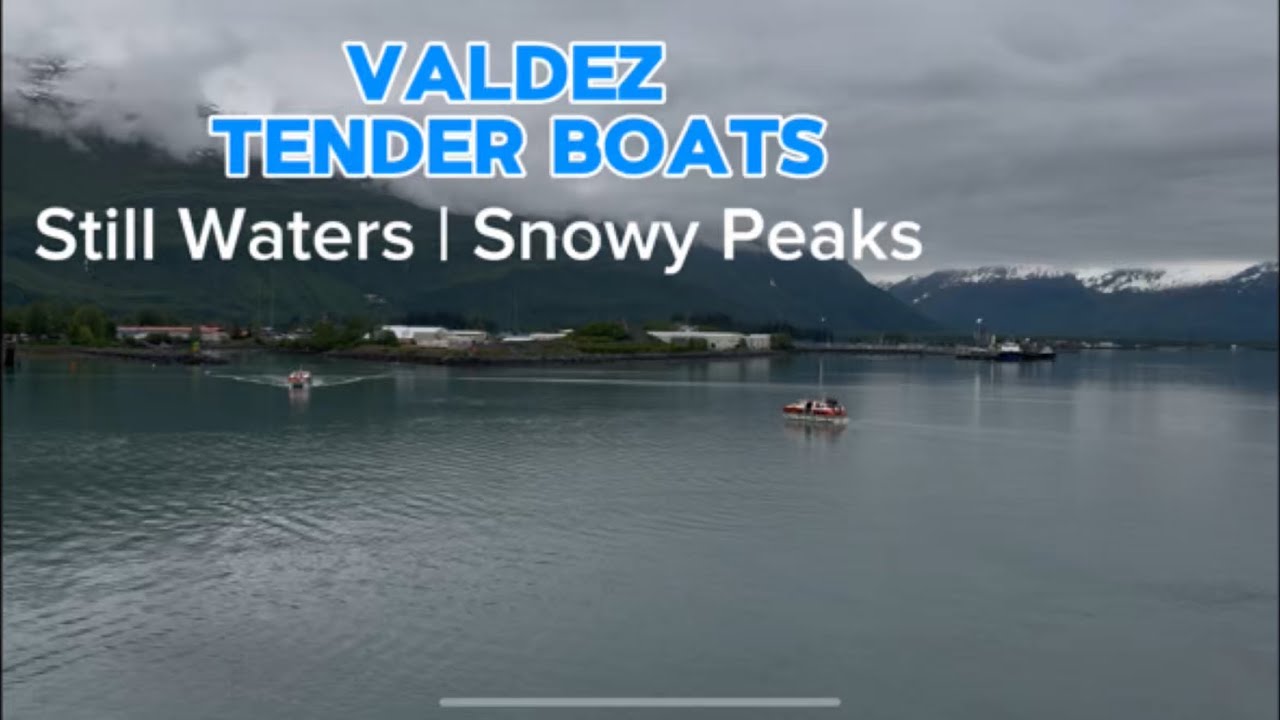 Tender Boats Arrive in Valdez, Alaska | Peaceful Harbor View from Ruby Princess (June) - YouTube