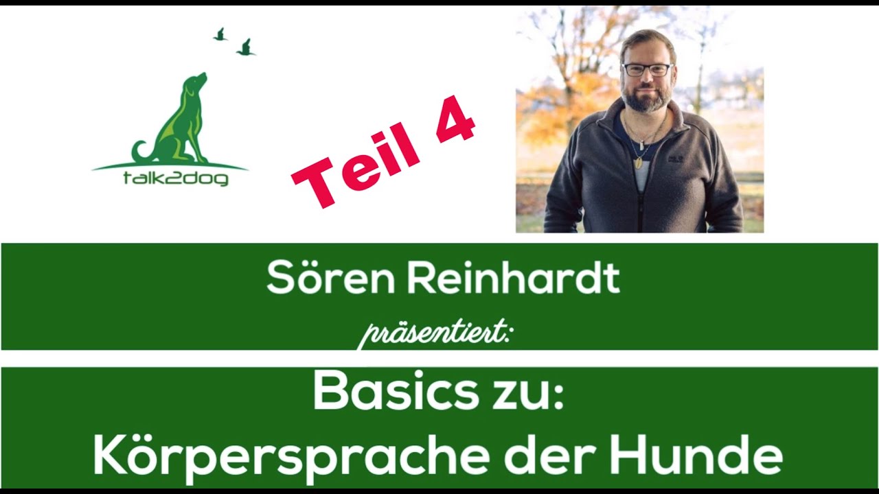 Basics zu Körpersprache der Hunde Teil 4: Aktive Demut - YouTube