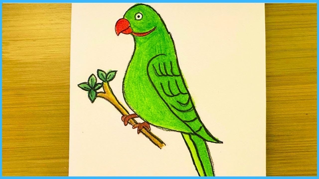 Parrot drawing || How to Draw a Parrot (Step by Step) || Easy parrot ...