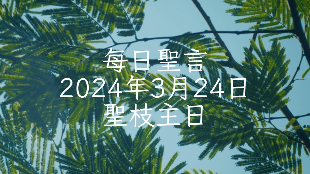 【每日聖言】2024年3月24日 聖枝主日（甘天霖神父講道） - YouTube