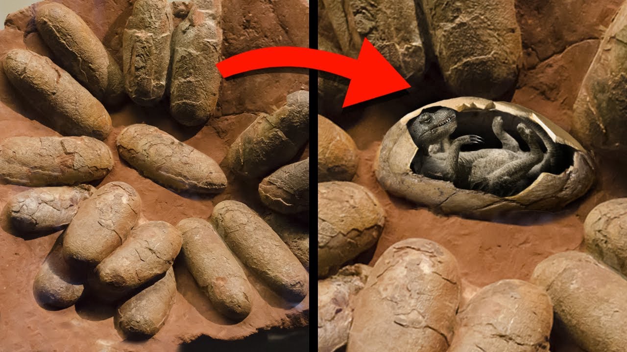 Scientists Were Amazed When They Found These Rare Baby Dinosaurs Just ...